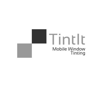 TintIt - Logo Designs By Zolteonoze
