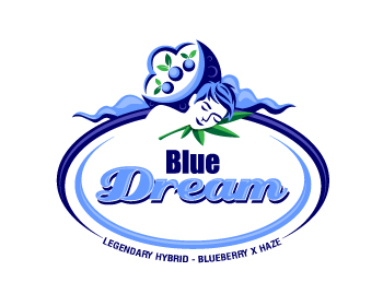 Blue Dream Logo DREAM CHASER Logo Generated By AI Logo Maker