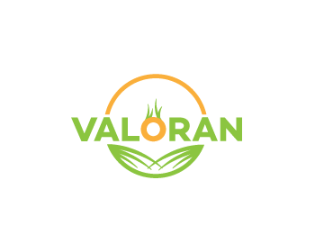Valoran Corp - Logo Designs By ipsihi