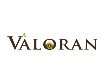 Valoran Corp - Logo Designs By AlundrArt