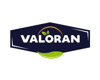 Valoran Corp - Logo Designs By AlundrArt