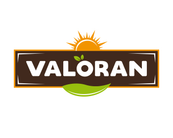 Valoran Corp - Logo Designs By AlundrArt