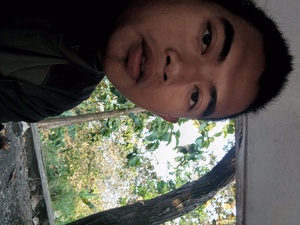 imagine - Professional Logo Designer on LogoArena